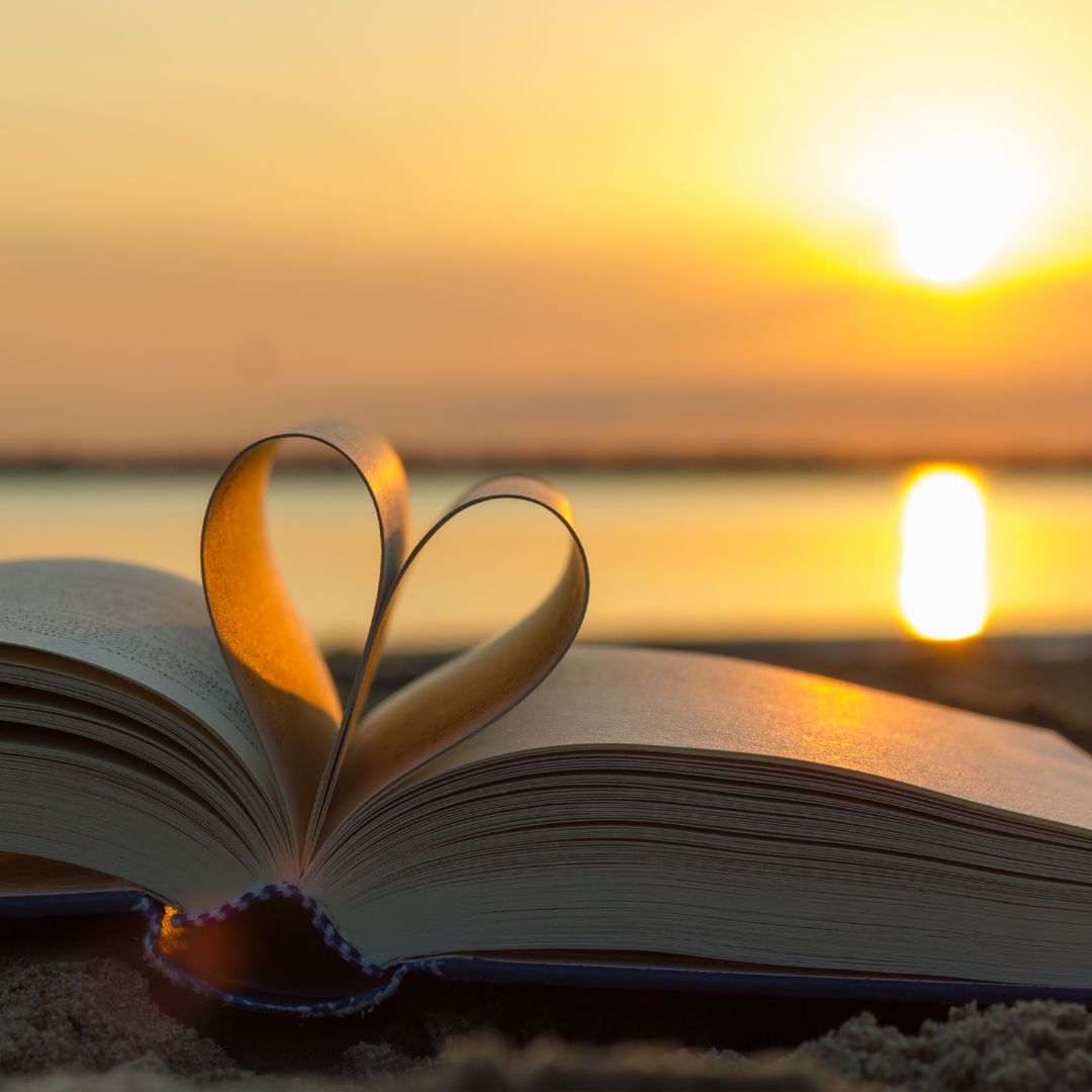 Consultation - Sandra Alvim